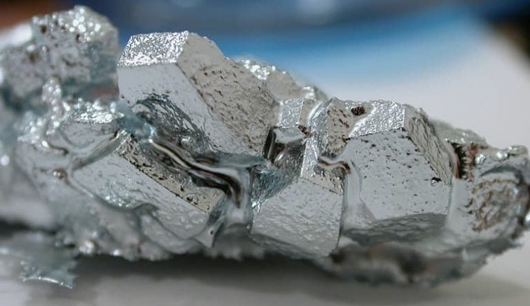 List of the 20 Heaviest Types of Wood in the World