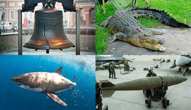 24 Things That Weigh One Kilogram