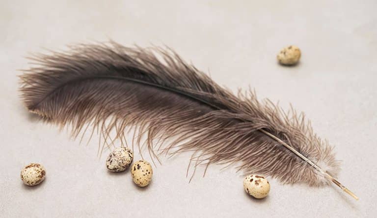 List of Common Things That Weigh a Milligram