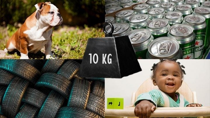 11 Things That Weigh Around 2 Tons – Weight of Stuff