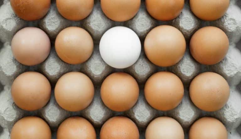 12 Things That Weight Around 70 Grams (g)