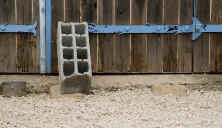 10 Common Items That Weigh About 35 Pounds