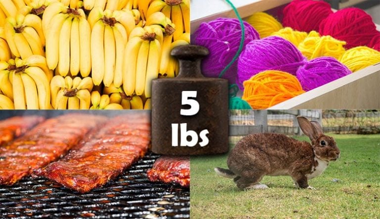 10 Common Items That Weigh About 5 Pounds – Weight of Stuff