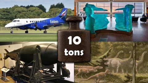 5 Things That Weigh About 5 Tons – Weight of Stuff