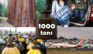 14 Things That Weigh About 1,000 Tons – Weight of Stuff