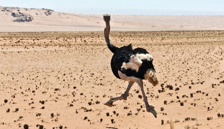 9 Things That Weigh Around 125 Kilograms (kg)