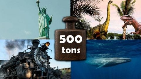 8 Things That Weigh About 14 Tons – Weight of Stuff