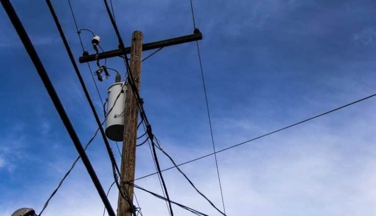 11 Things That Weight Around 1000 lbs (pounds)