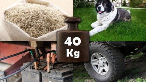12 Things That Weigh Around 45 kg (kilograms) – Weight of Stuff