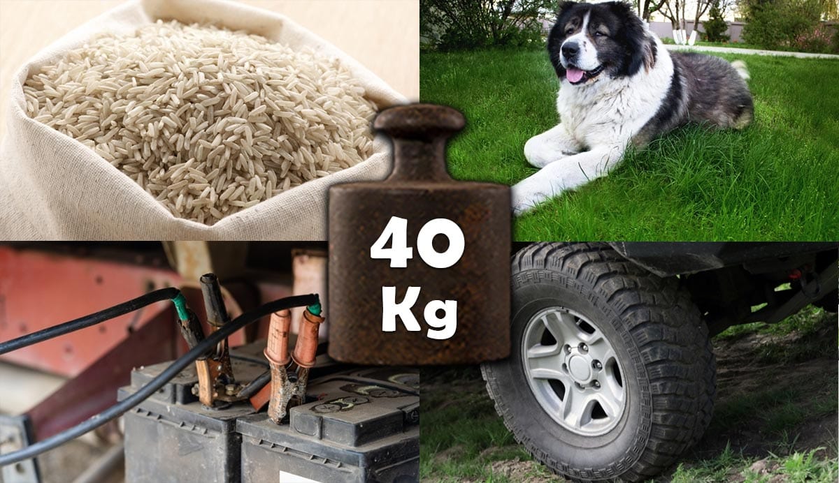 List of 9 Things That Weigh 40 Kilograms (Kg)
