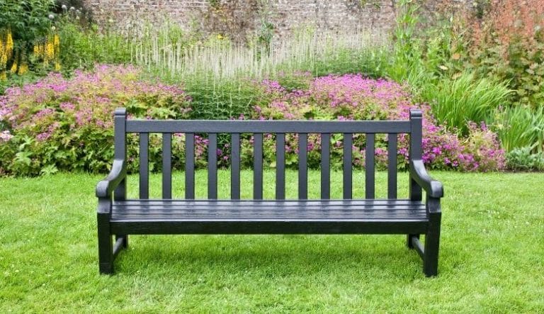 11 Things That Weight Around 30 Kilograms (kg)