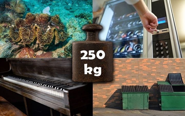 10 Things That Weight Around 250 Kilograms (kg) – Weight of Stuff