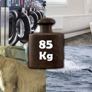 7 Things That Weigh Around 85 Kilograms (Kg) – Weight of Stuff