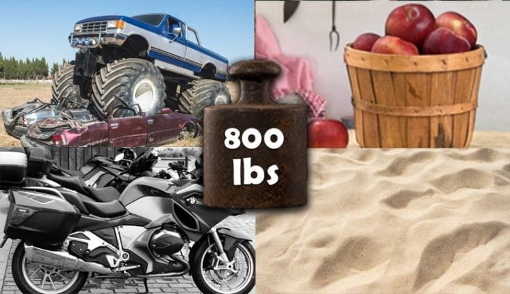 7 Things That Weigh About 90 Pounds (lbs)